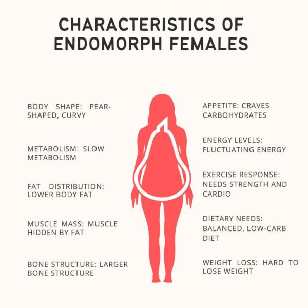 Endomorph Diet Plan Female For 7 Days