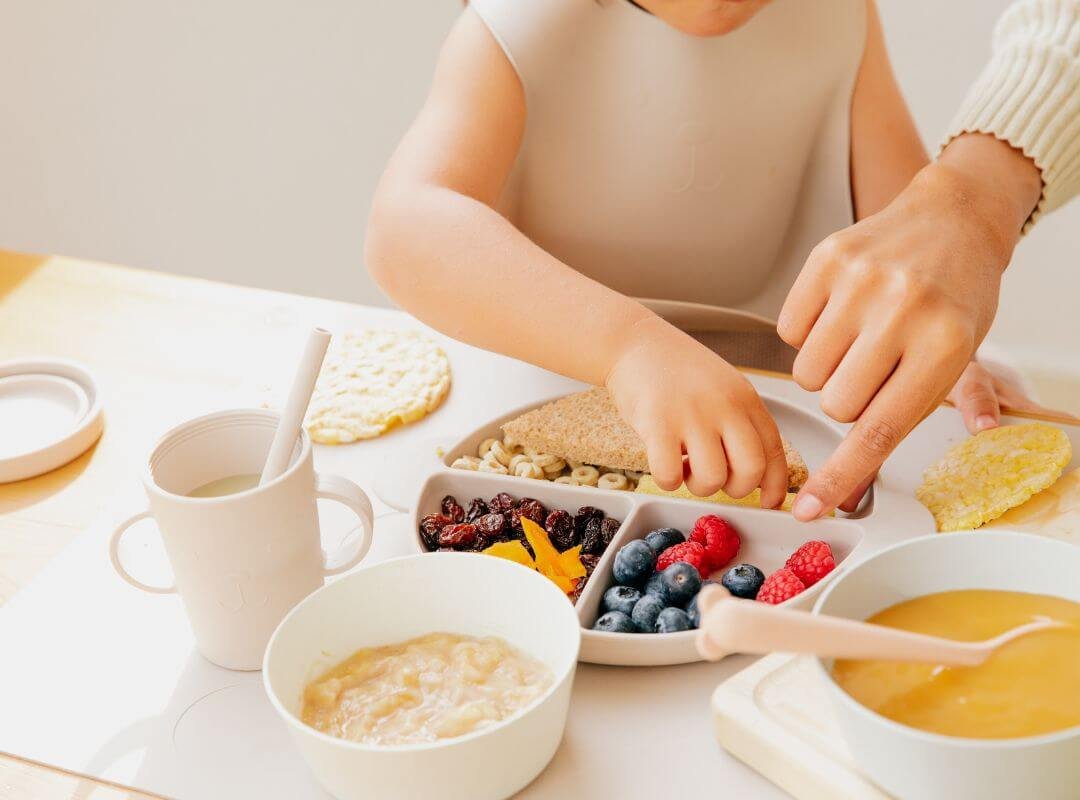 AIP Reintroduction Phase; How to Start It The Right Way - What Diet Is It