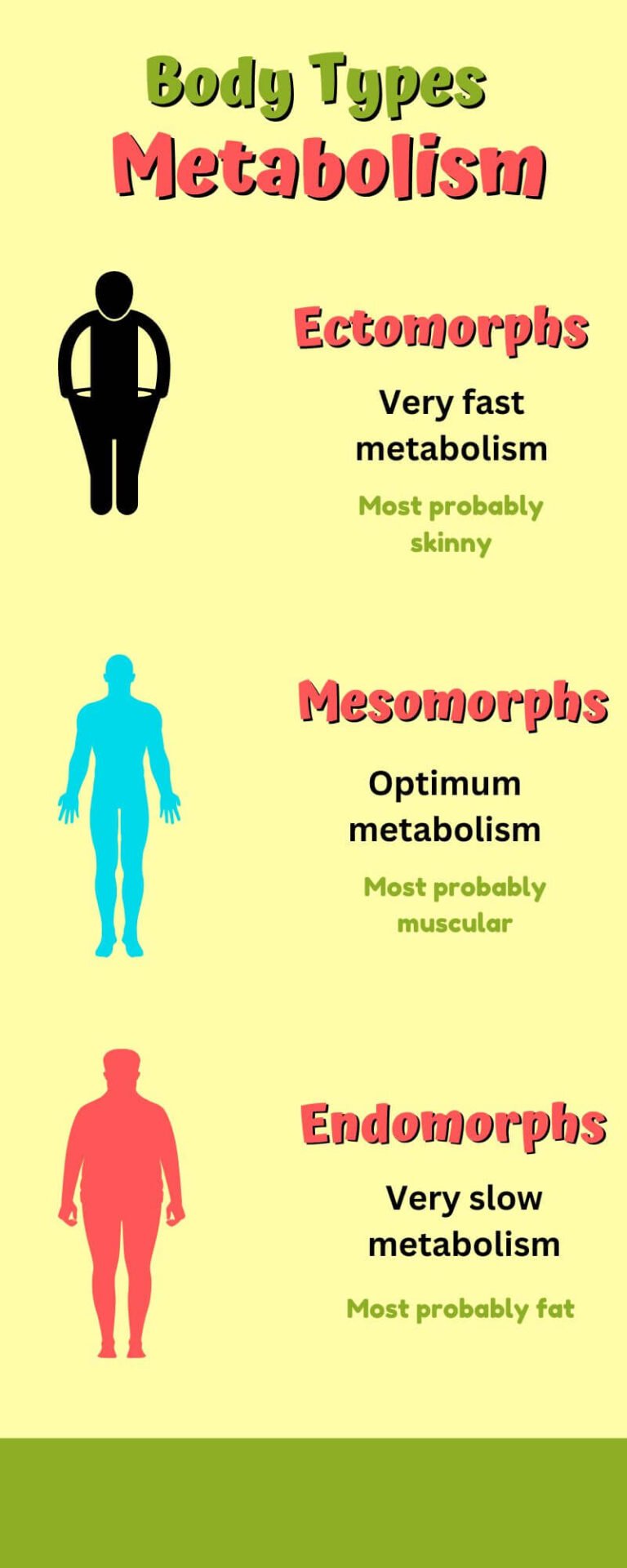 Metabolic Confusion Diet Plan for Endomorph: 30 Days Free PDF - What ...